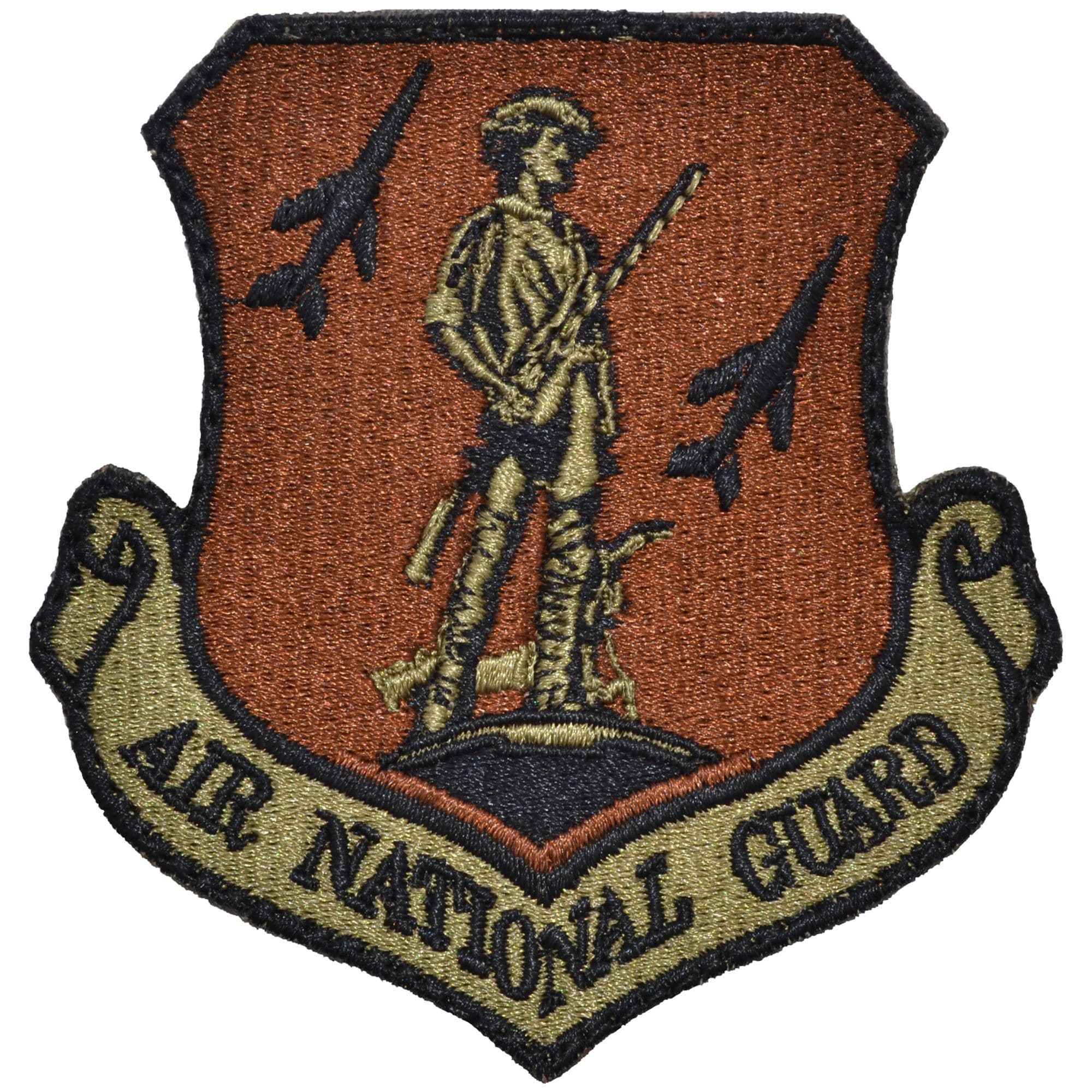 Air National Guard Patch - USAF OCP/Scorpion